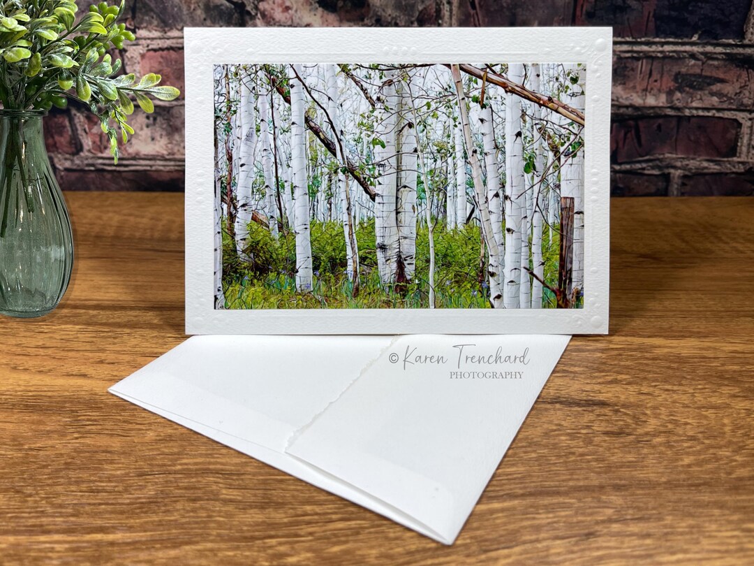 Colorado Greeting Card, Aspen Forest Photo, Mountain Note Card ...