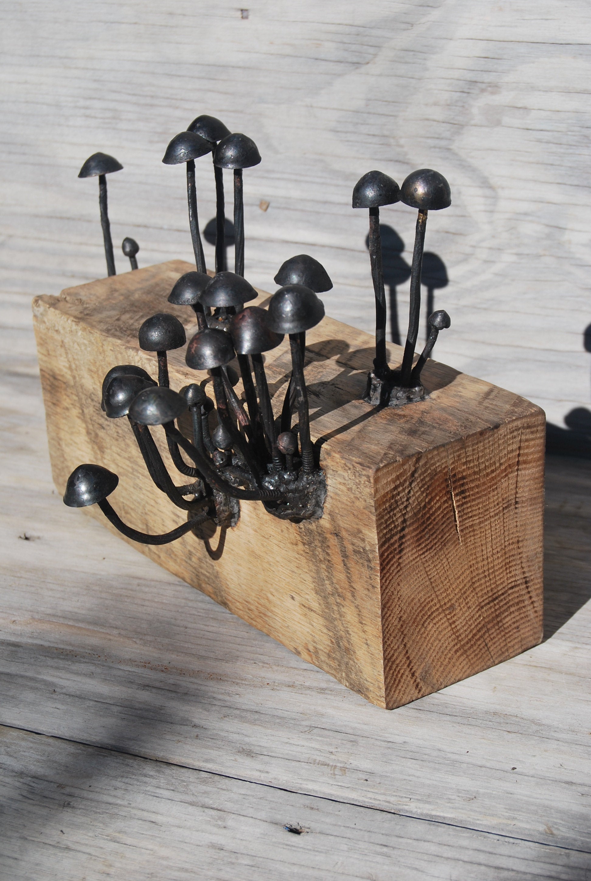 Metal Sculpture Mushrooms Panaeolus Cinctulus Mushrooms on - Etsy Canada