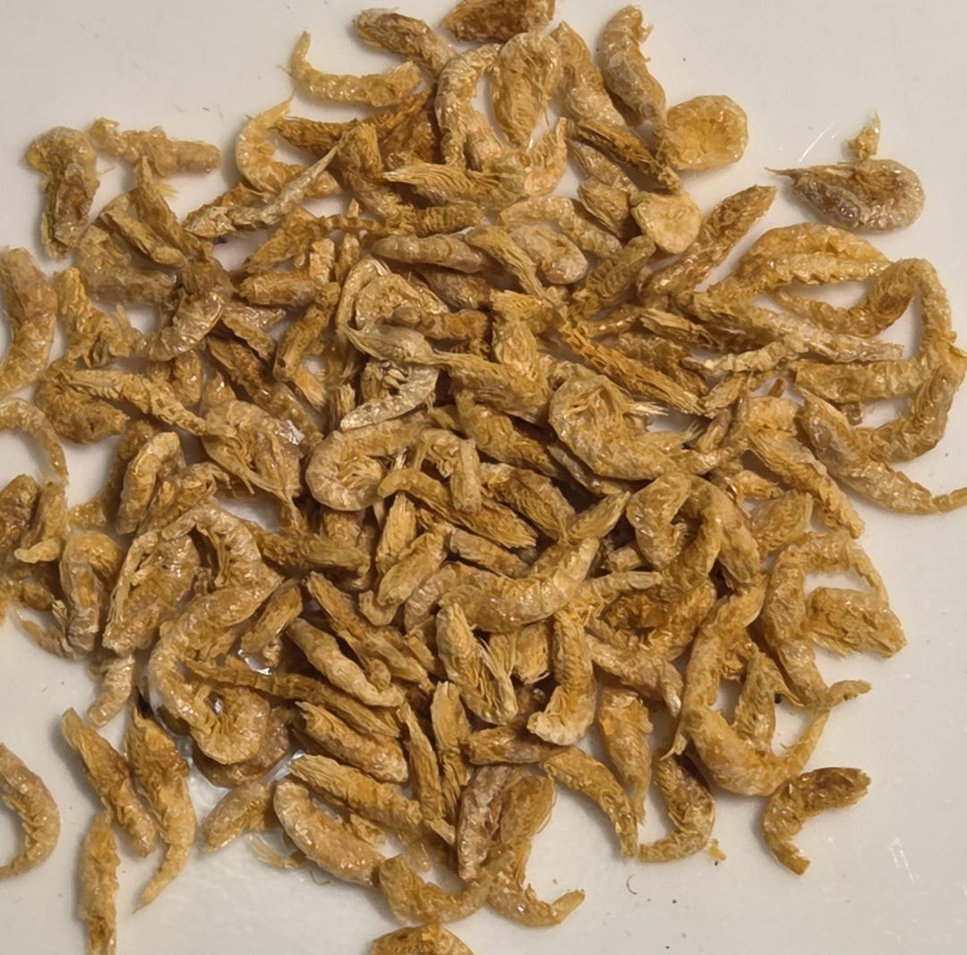 Plankton (freeze Dried)-hermit Crab Food - Etsy