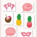 Printable Flamingo Party Props 17 Coral Pink Flamingo Props DIY Props ...