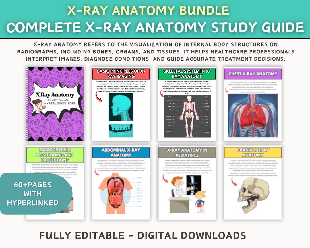 Complete X Ray Anatomy Study Guide,comprehensive X-ray Guide for ...