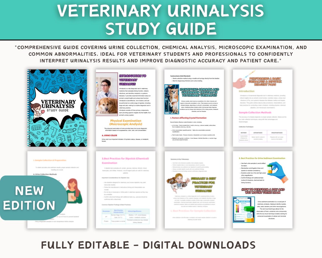 Veterinary Urinalysis Guide: Vet Tech & Student Notes (digital Download ...