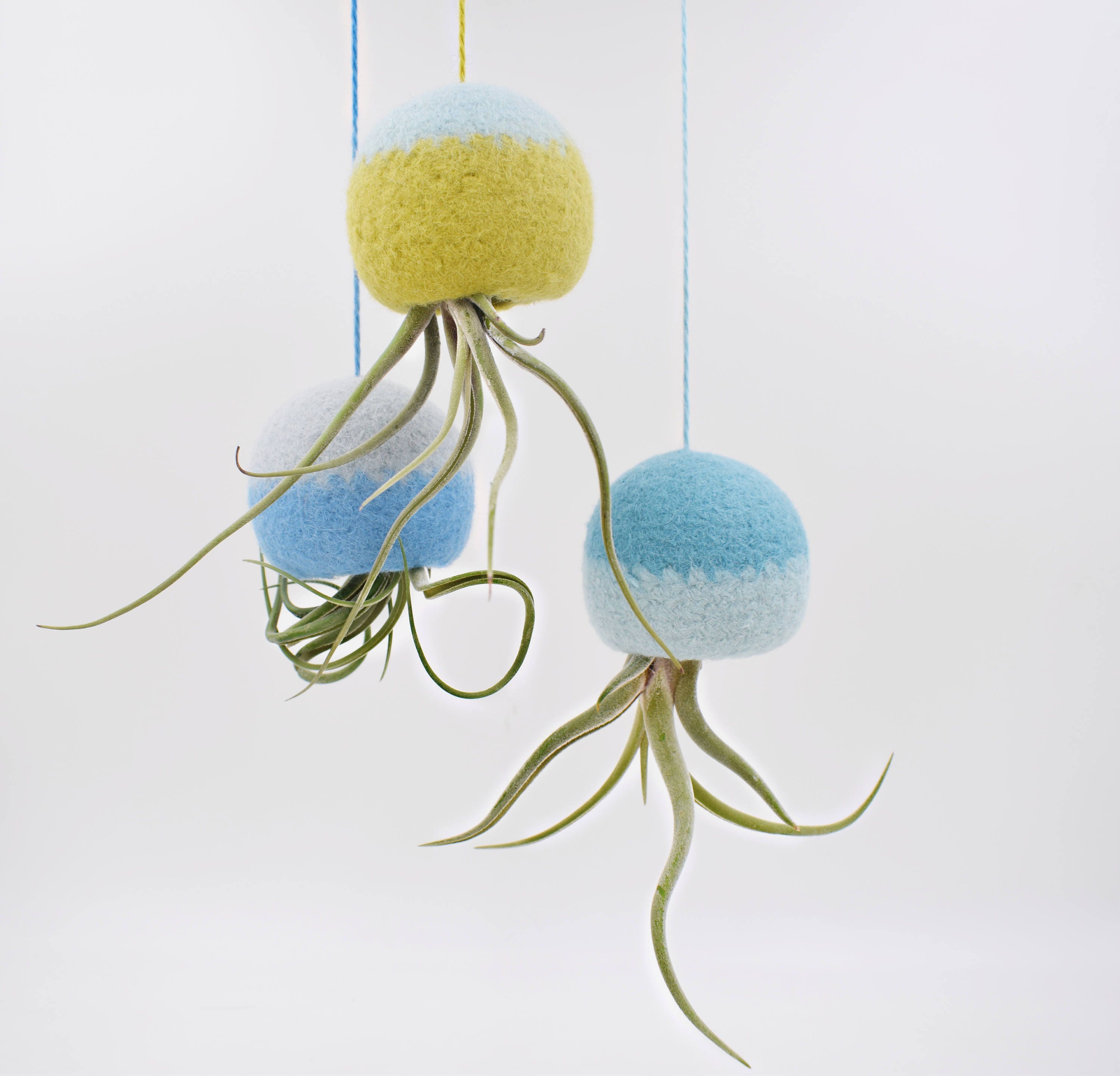 Air Planter / Octopus Air Plant Hanger / Hanging Planter Gift - Etsy UK