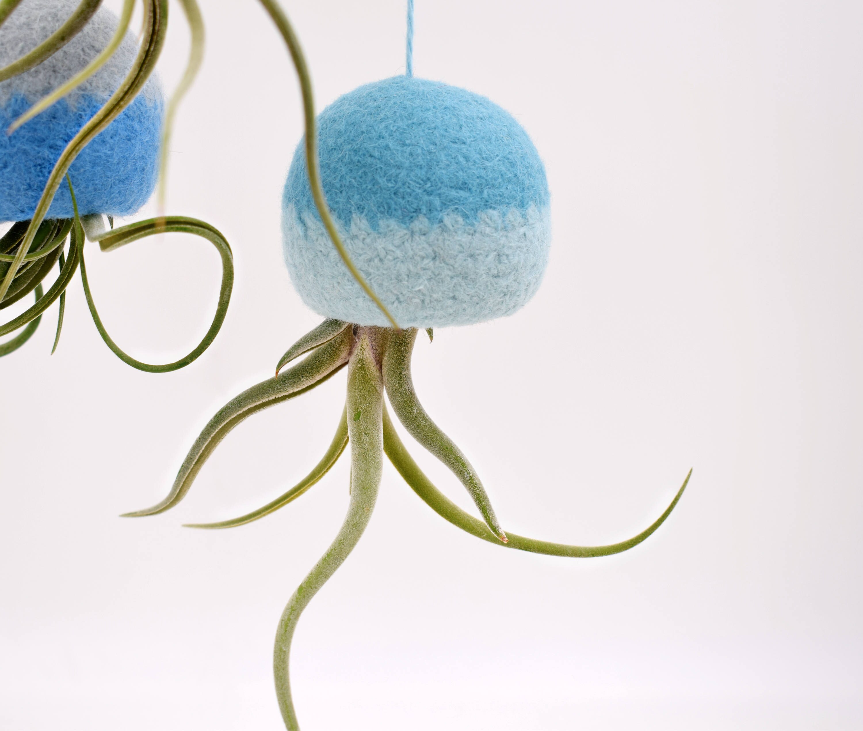 Air Planter / Octopus Air Plant Hanger / Hanging Planter Gift - Etsy UK