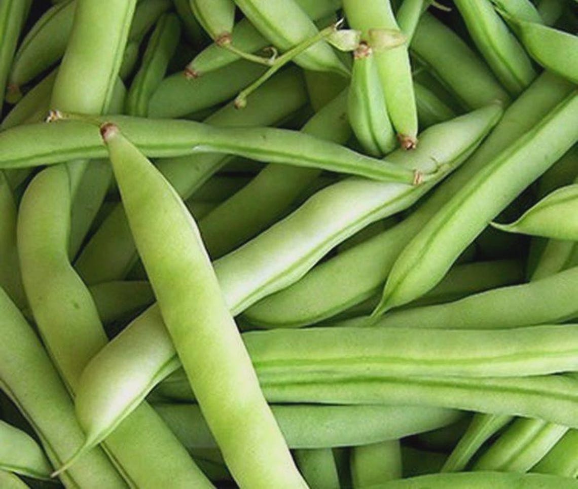 White Half Runner Bean Seeds - Etsy