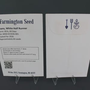 White Half Runner Bean Seeds - Etsy