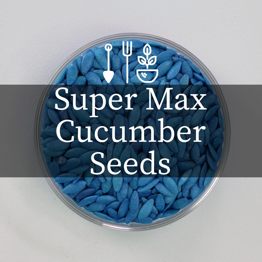 Super Max Hybrid Cucumber Seeds | Dark Green 4″ Pickling Cucumbers ...