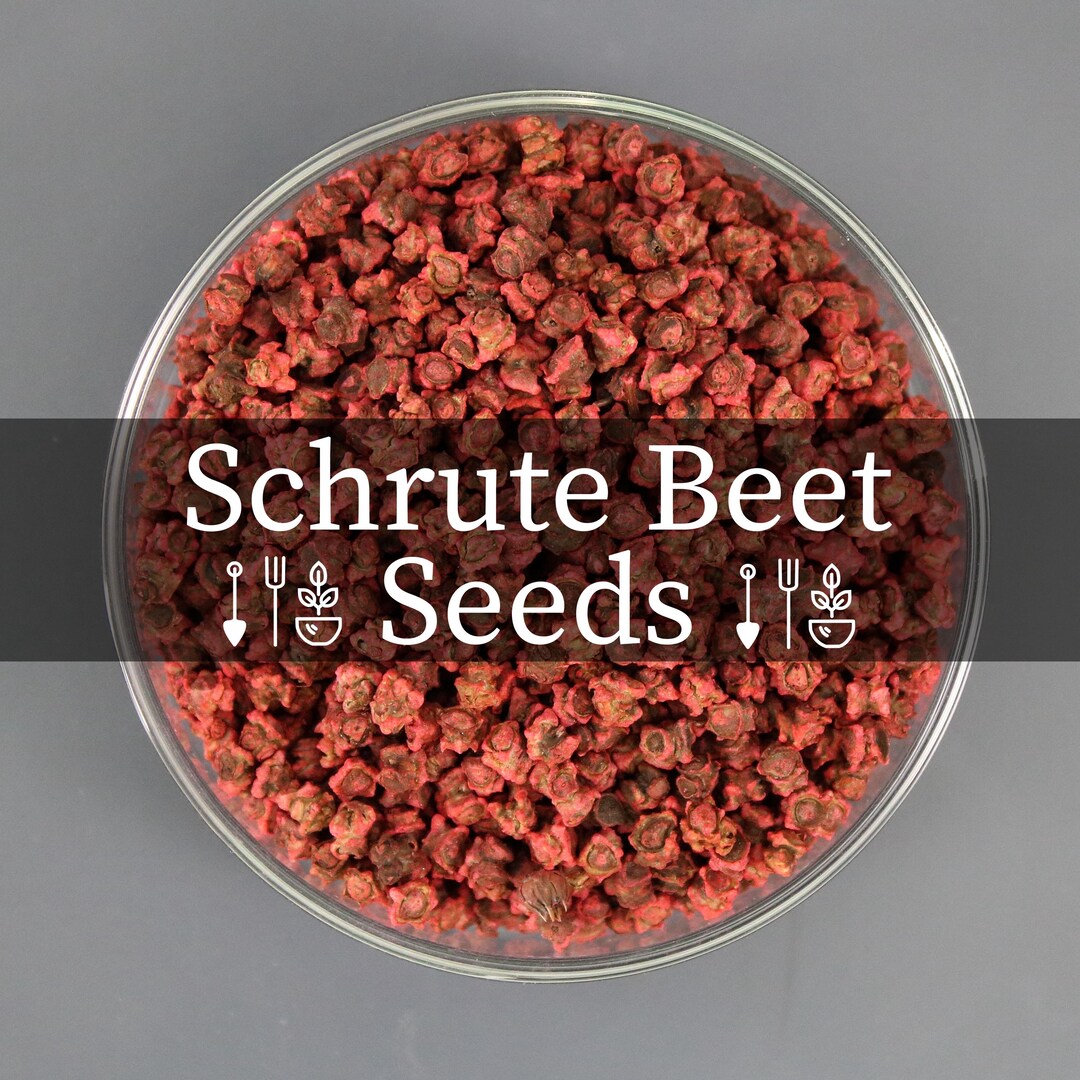 Schrute Hybrid Beet Seeds - Etsy