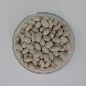 White Half Runner Bean Seeds - Etsy