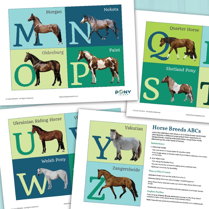 A–Z Horse Breeds Flash Cards – Alphabet Learning for Kids, Equestrian ...