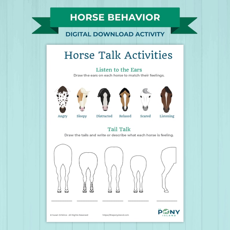 Horse Talk Activity – Printable Worksheet for Kids | Learn Horse Body ...