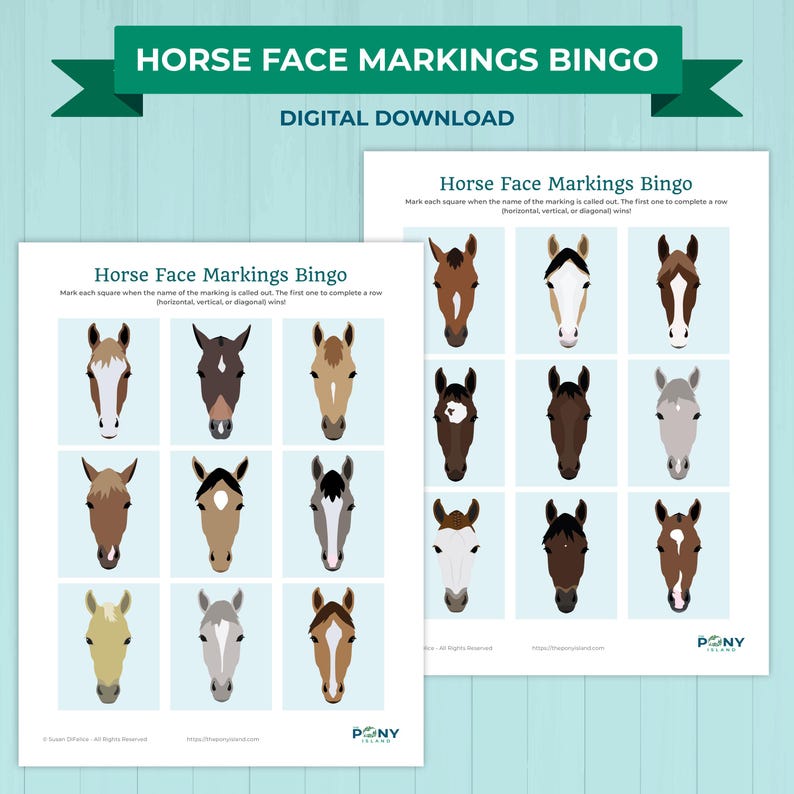 Horse Face Markings Bingo Game Printable – Kids Horse Learning Activity ...