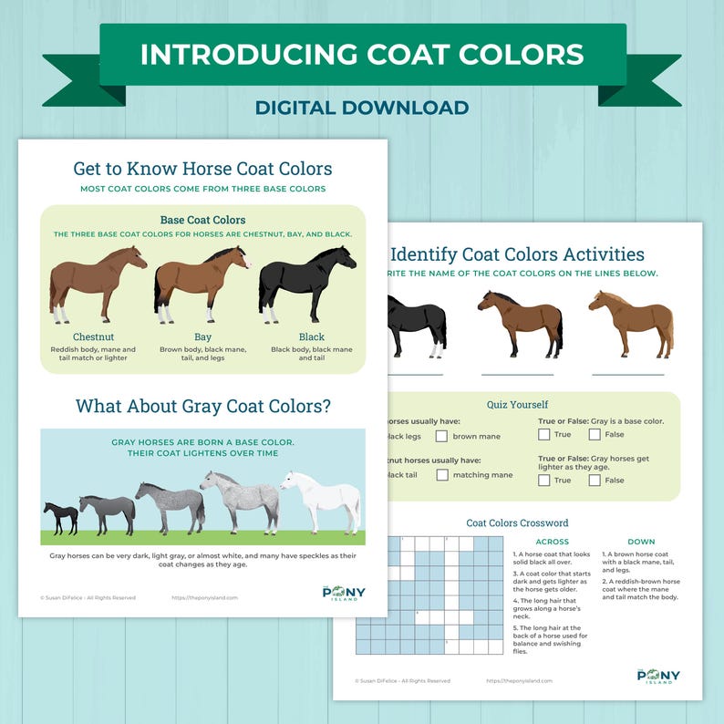 Introduction to Horse Coat Colors Printable | Homeschool and Equestrian ...