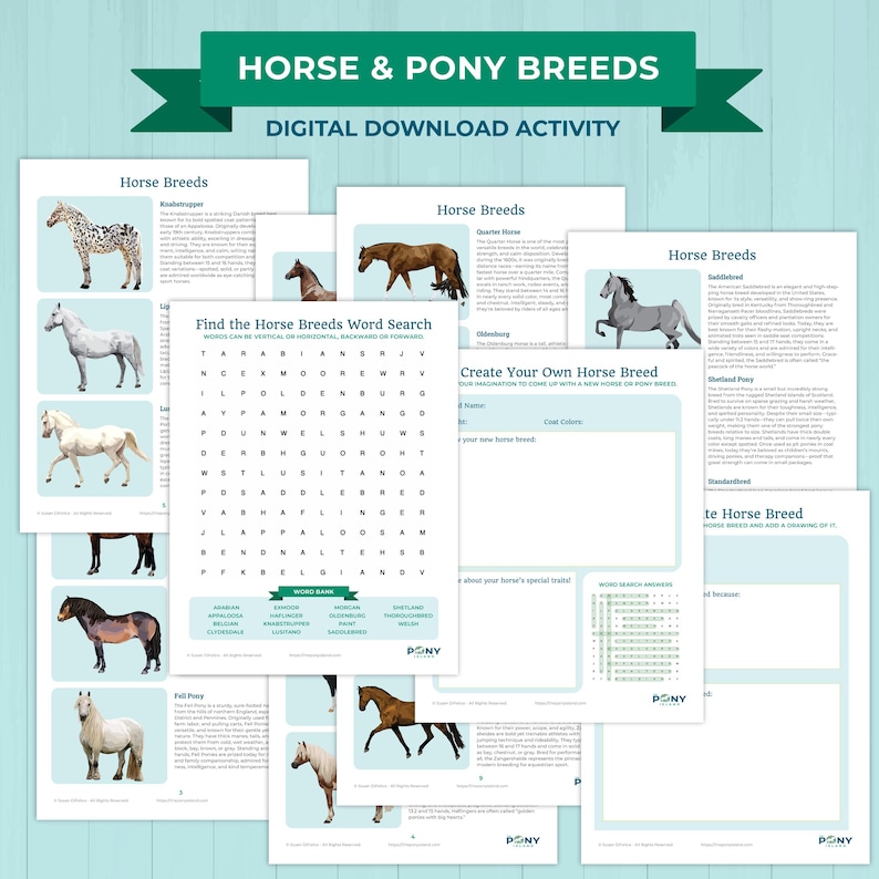 Fundamentals of the Horse Bundle– Printable Learning Pack for Young ...