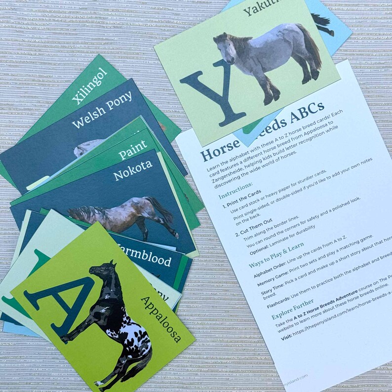 A–Z Horse Breeds Flash Cards – Alphabet Learning for Kids, Equestrian ...