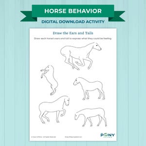 Horse Talk Activity – Printable Worksheet for Kids | Learn Horse Body ...