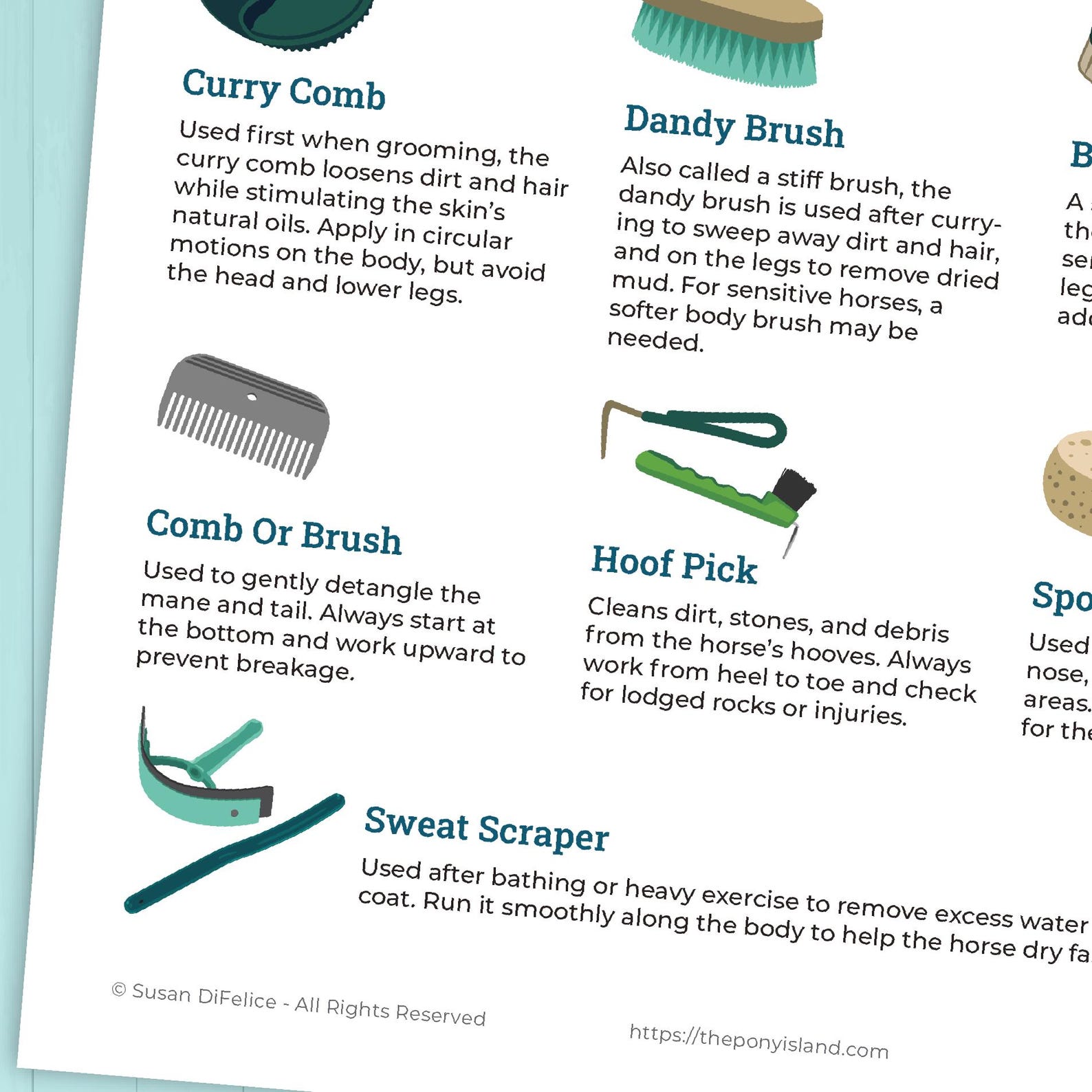 Horse Grooming Tools Activity PDF Download - Etsy