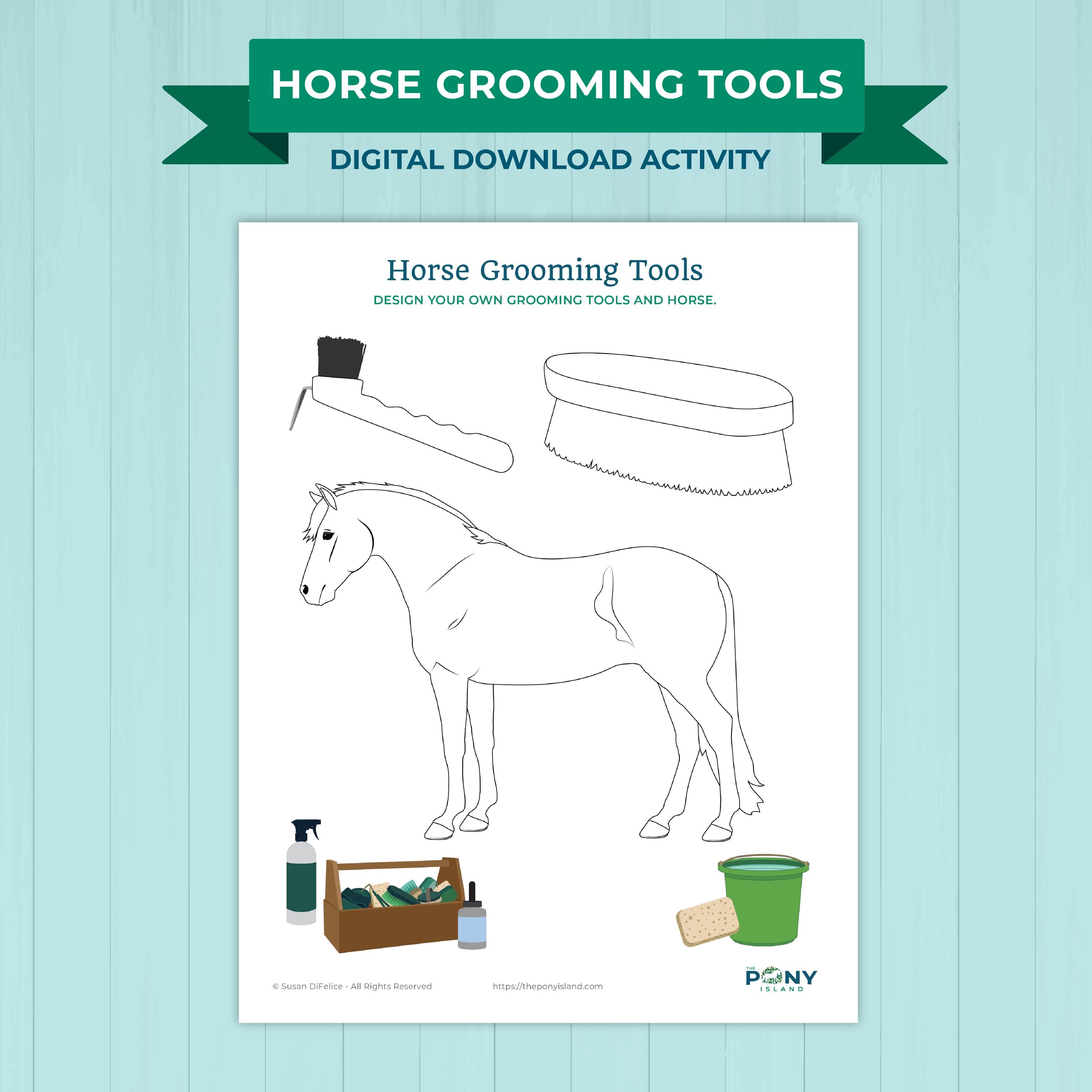 Horse Grooming Tools Activity PDF Download - Etsy