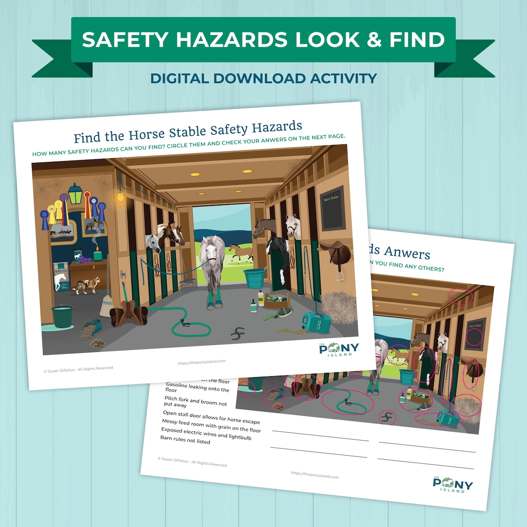Horse Stable Safety Hazards Look & Find Printable Activity - Etsy