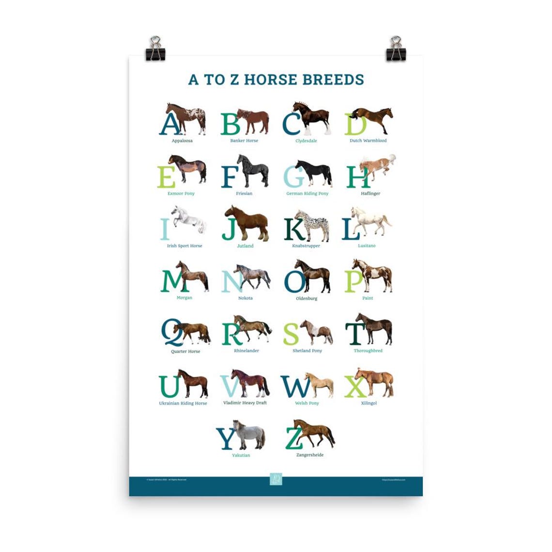 A to Z Horse Breeds Poster – Illustrated Alphabet Print for Kids ...