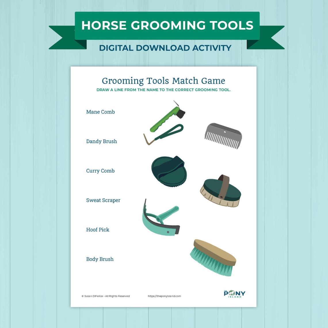 Horse Grooming Tools Activity PDF Download - Etsy