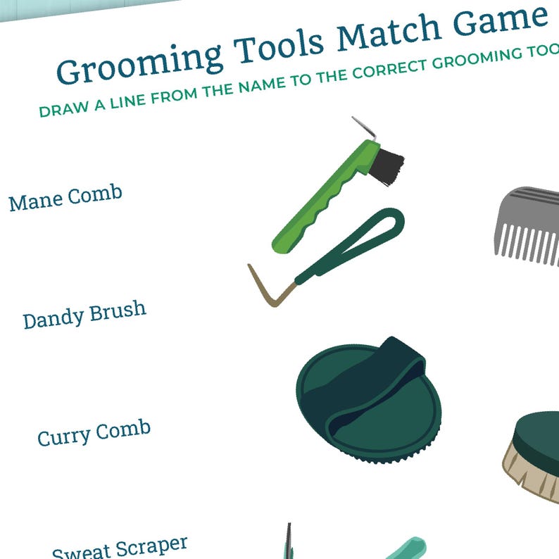 Horse Grooming Tools Activity PDF Download - Etsy