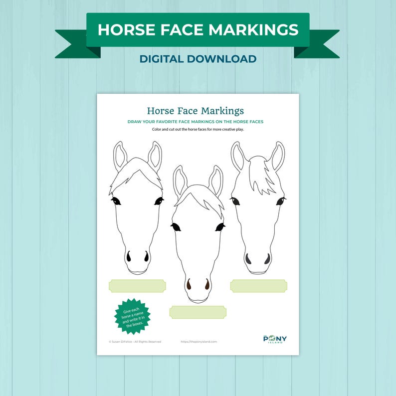 Horse Face Markings Printable – Illustrated Guide & Activity Pages for ...
