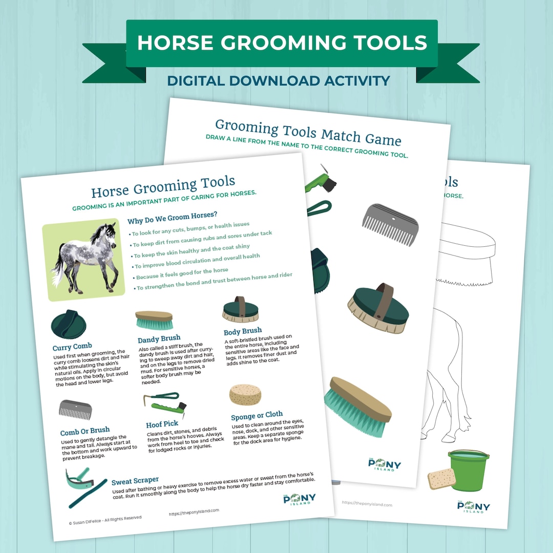 Horse Grooming Tools Activity PDF Download - Etsy