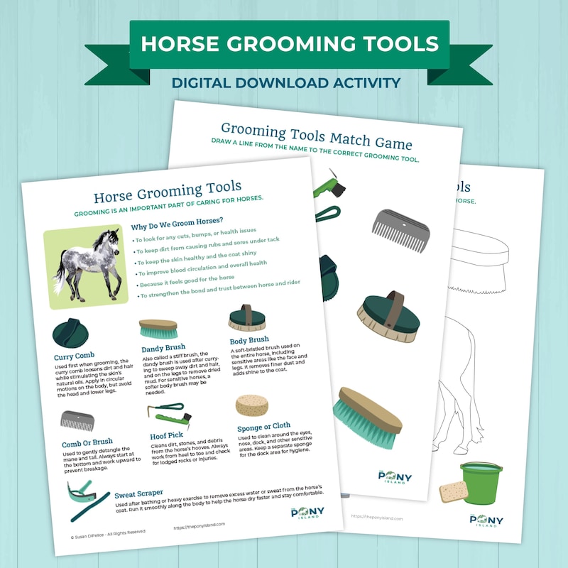 Horse Grooming - Etsy