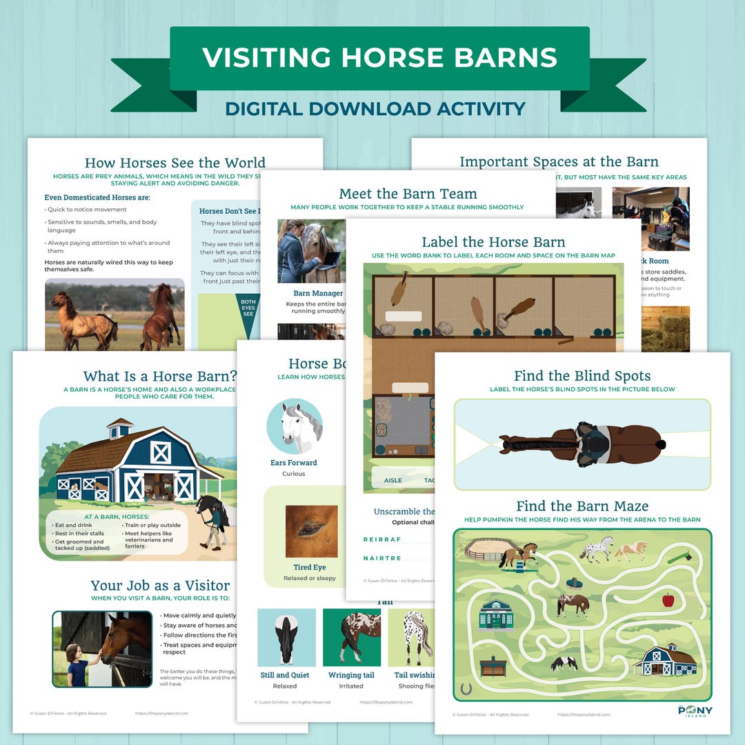 Visiting Horse Barns: Safety & Etiquette Learning Activity Printable - Etsy