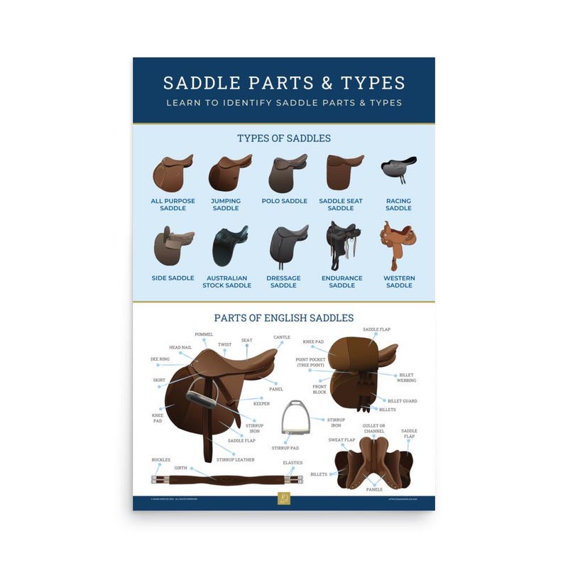 Poster That Shows Horses Parts - Etsy New Zealand