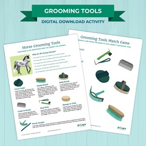 Horse Grooming Tools Activity PDF Download - Etsy