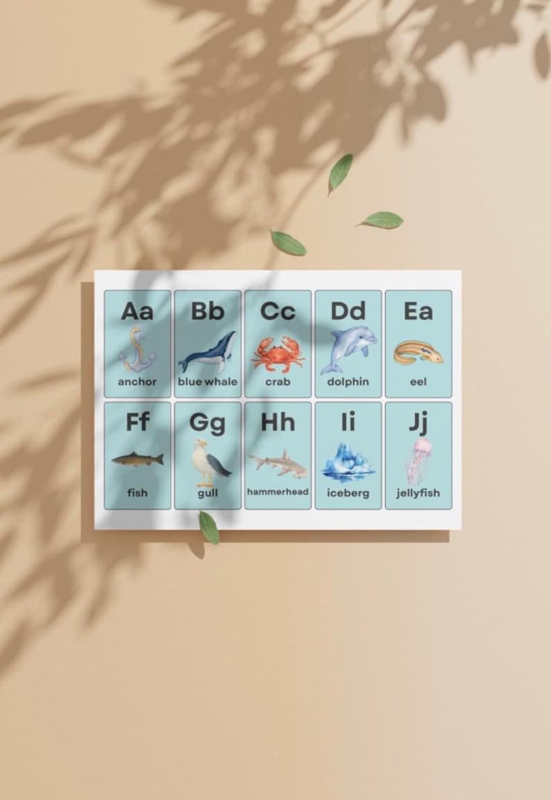 Ocean Alphabet Flashcards | A–Z Marine Animals ABC Cards | Kids Ocean ...