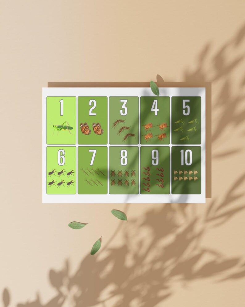 Early Learning Worksheet Bundle | Shapes Tracing, Nature Counting ...