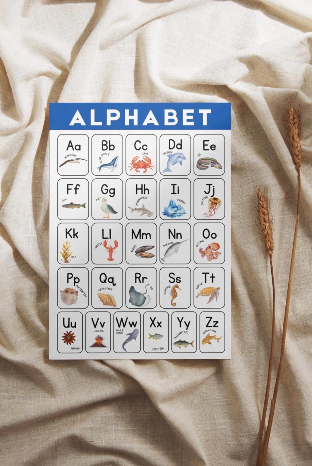 Ocean Alphabet Poster A3 | Marine Animals ABC Chart | Kids Ocean ...