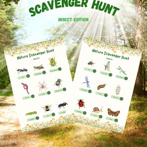 Bug Scavenger Hunt Printable | Nature Activity for Kids (2 Pages) - Etsy