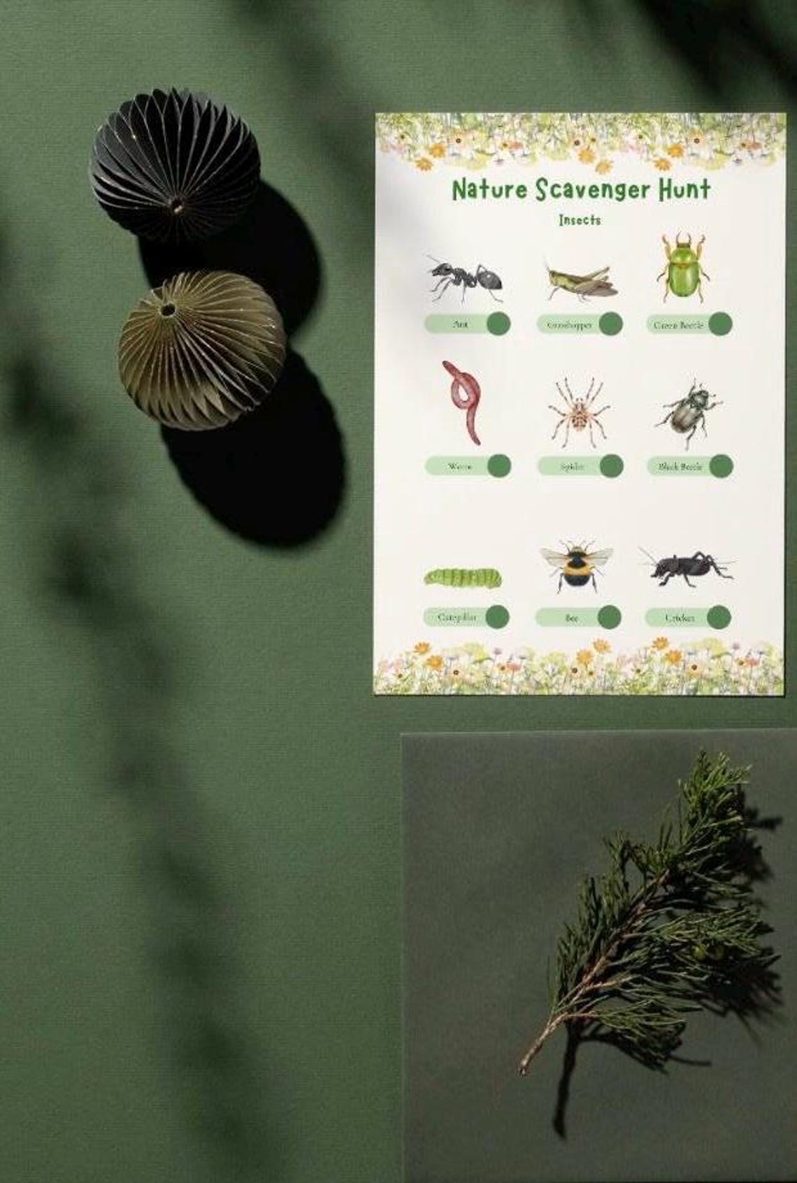 Bug Scavenger Hunt Printable | Nature Activity for Kids (2 Pages) - Etsy