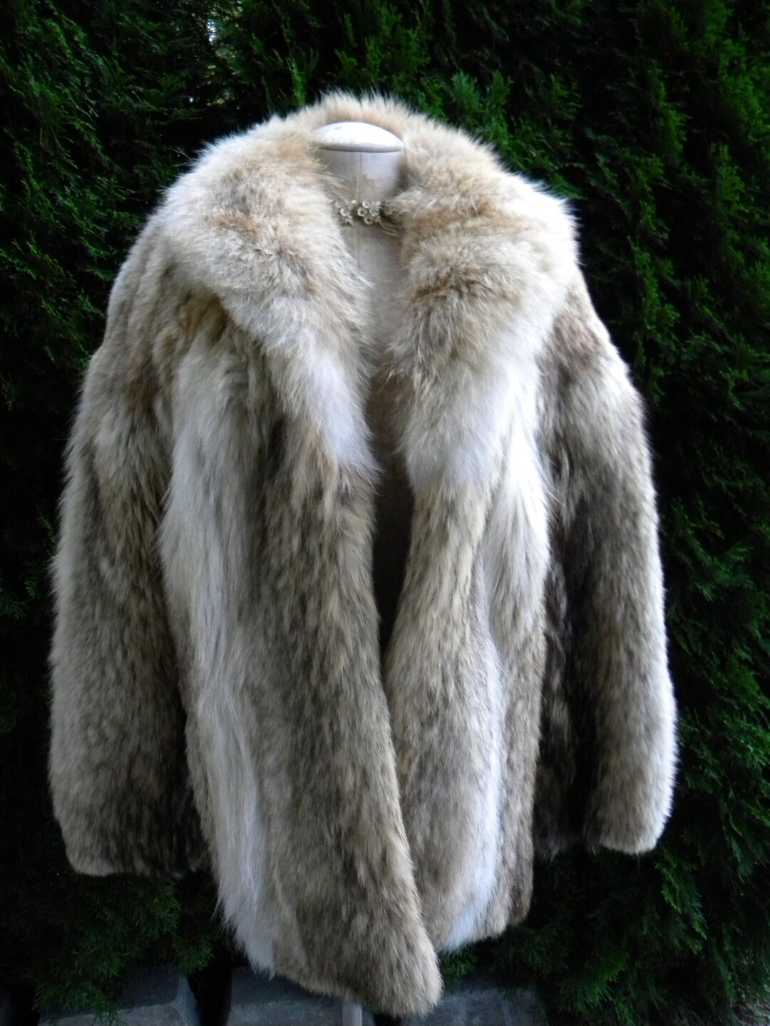 Bold Beautiful Coyote Fur Coat / Jacket / Real Fur / Women's Small ...