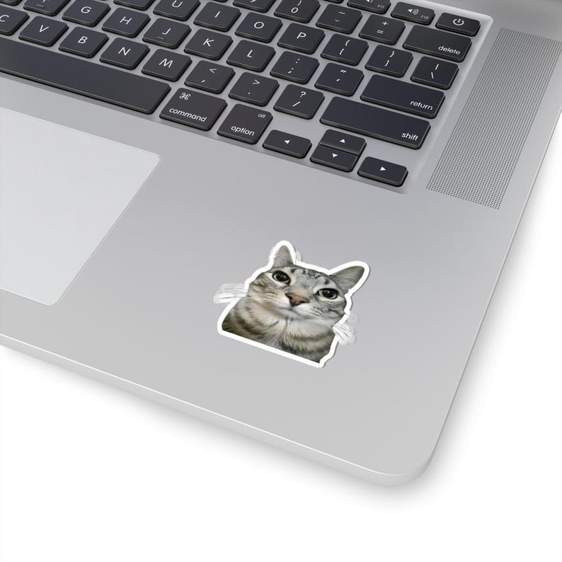 Cute Cat Kiss-cut Stickers, Funny Animal Design for Laptop, Water ...