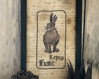 The Primitive Hare Cross Stitch - Etsy