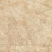 PTP / GLORY / Picture This Plus / Cross Stitch Fabric / Ready to Ship ...