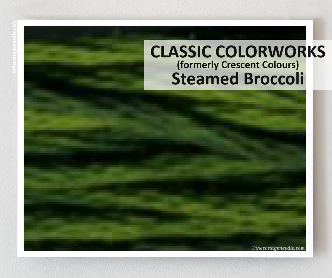 STEAMED BROCCOLI Classic Colorworks Hand-dyed Embroidery Floss | Etsy