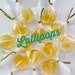 CARDAMOM, Essential Oil Hard Candy 5oz - Etsy