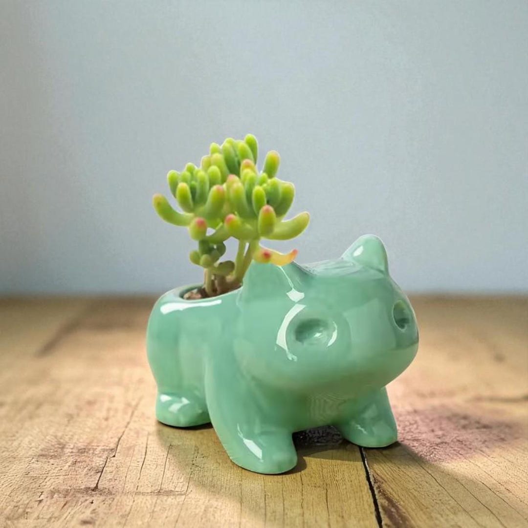 Bulbasaur Ceramic Succulent Planter – Anime Home Decor - Etsy