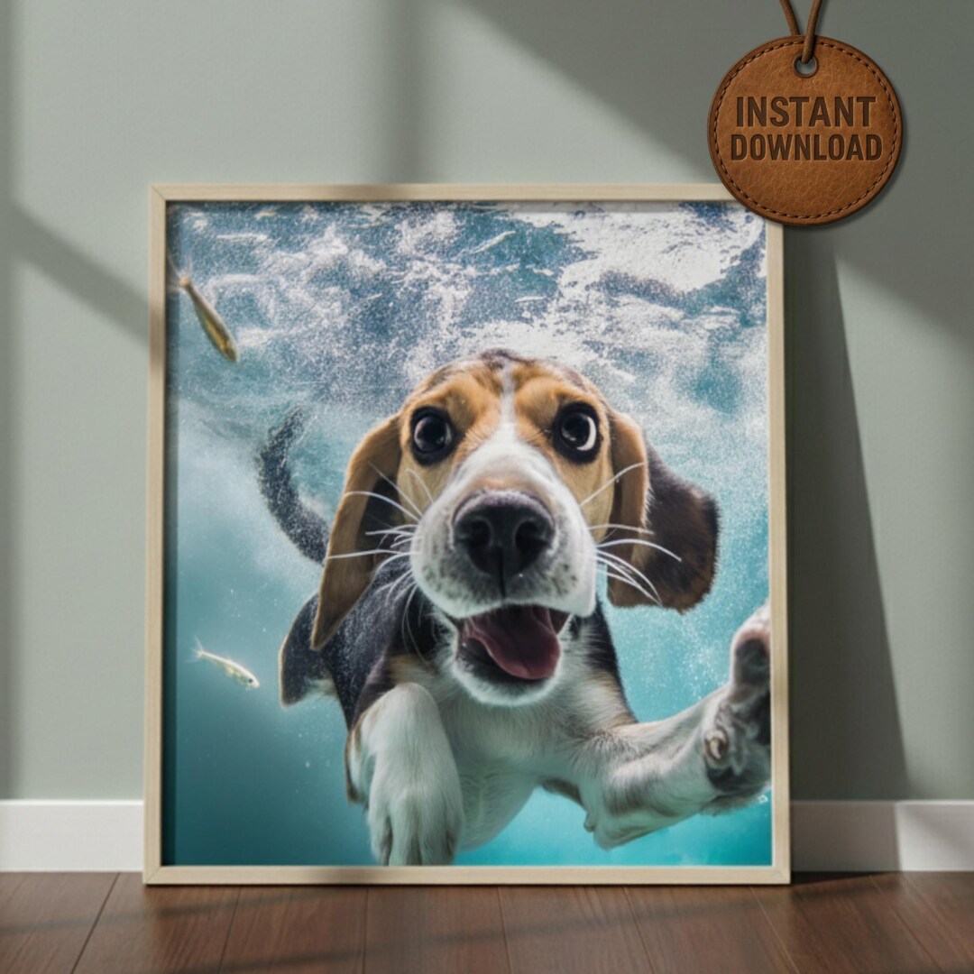Charlie the Beagle Underwater | Submerged Dog Photography | Funny ...
