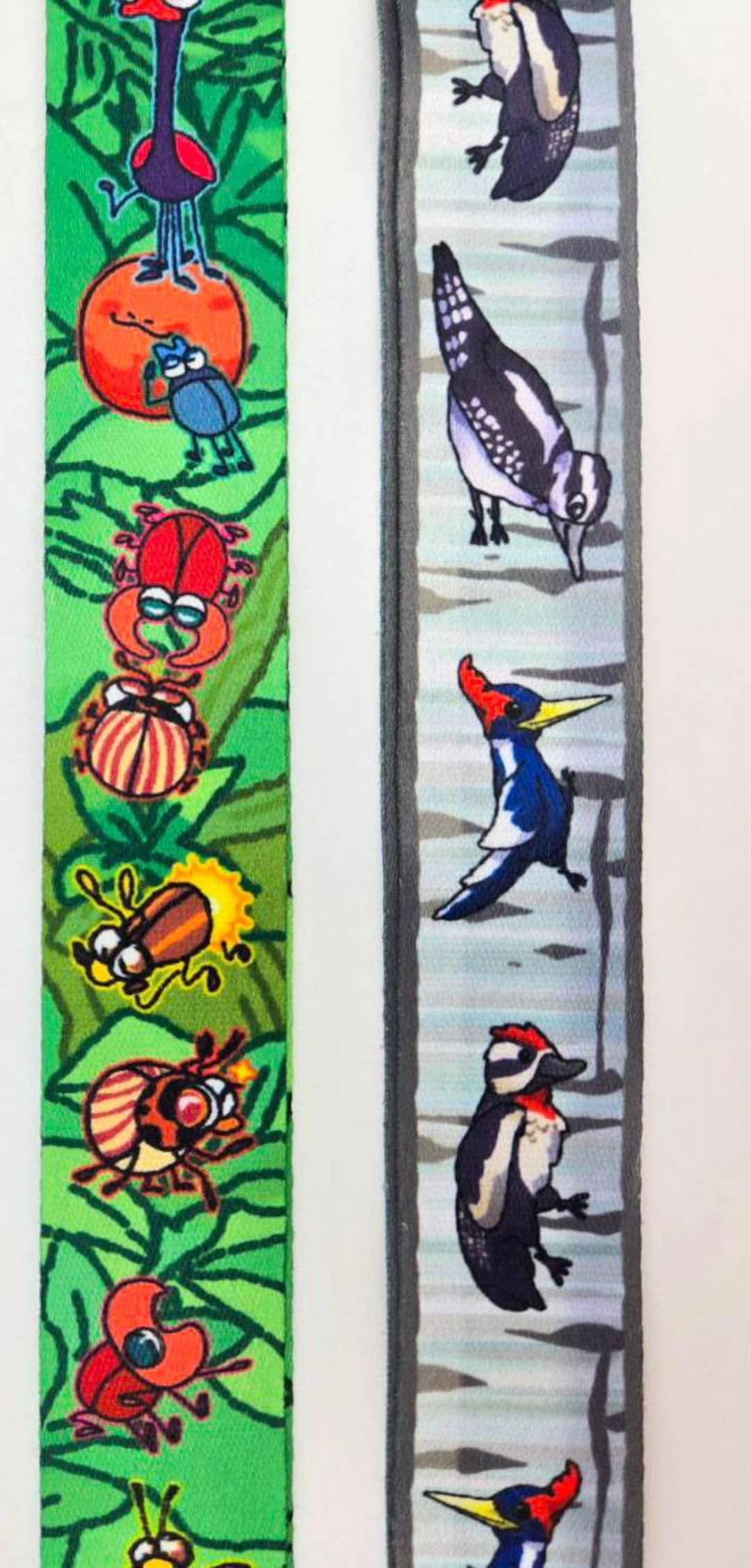 Beetle Weevil Bugs, and Woodpecker of North America Breakaway Lanyard ...