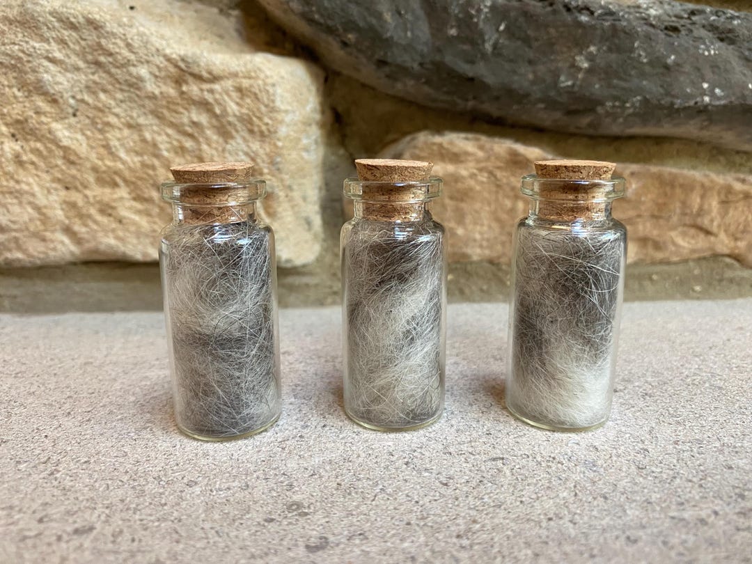 Opossum Fur Glass Vial | Ethical Oddities, Goblincore Decor ...