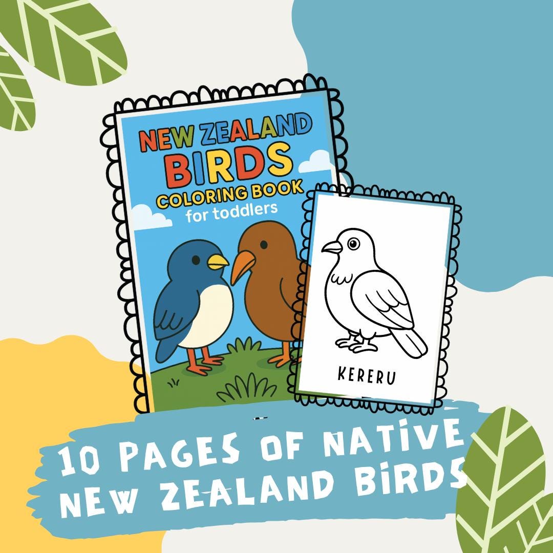 New Zealand Native Birds Colouring Book | Instant Download | 10 ...