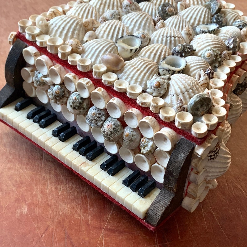 Shell Box - Etsy