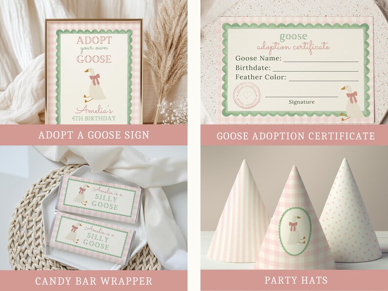 Silly Goose Bundle | One Silly Goose Party Decor | Girl Birthday ...